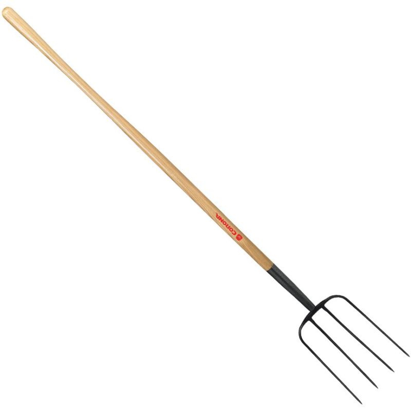 Pitch Fork by Corona | Elgin Nursery & Tree Farm: Phoenix, AZ