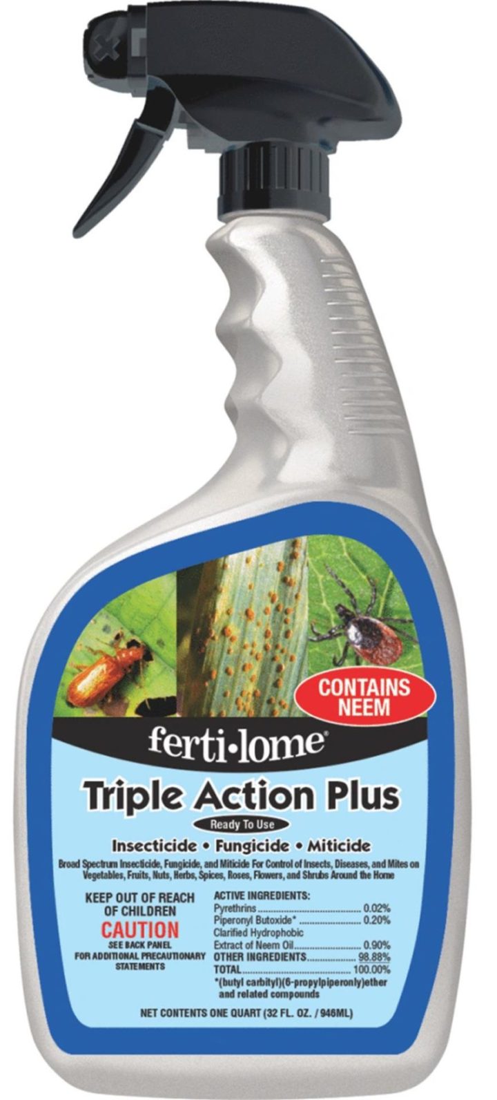 Lady Bugs | Elgin Nursery & Tree Farm: Phoenix, AZ