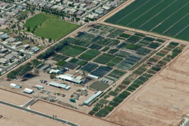 Wholesale Department at Elgin Nursery & Tree Farm | Elgin Nursery ...