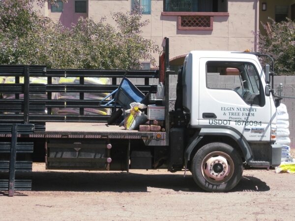 Production Area – 24″ Box Trees | Elgin Nursery & Tree Farm: Phoenix, AZ