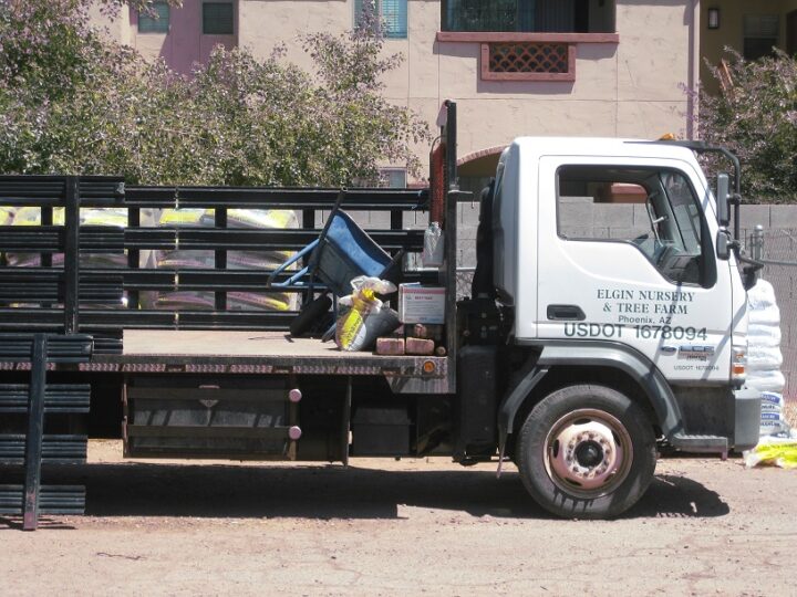 Production Area – 24″ Box Trees | Elgin Nursery & Tree Farm: Phoenix, AZ