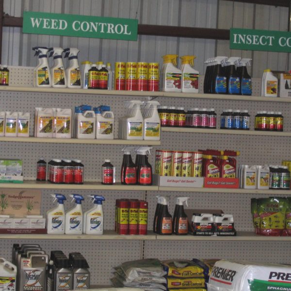 Categories | Elgin Nursery & Tree Farm: Phoenix, AZ